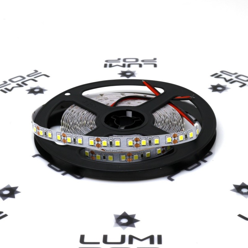 Ruban LED blanc froid 12V 120LED/m 2m50