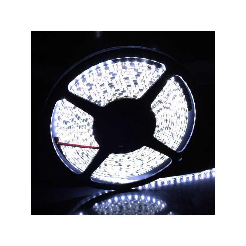 Bande LED blanche 12V 120LED/m étanche 5m