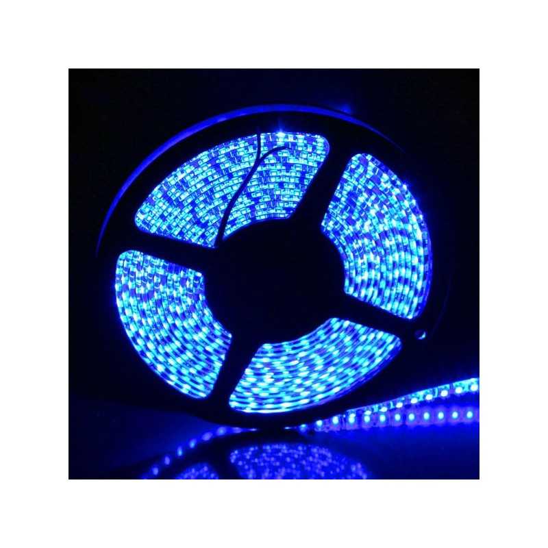 Bande LED bleue 12V 120LED/m étanche 5m