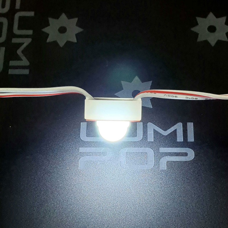Module LED avec diffuseur blanc étanche IP68 12V à l'unité