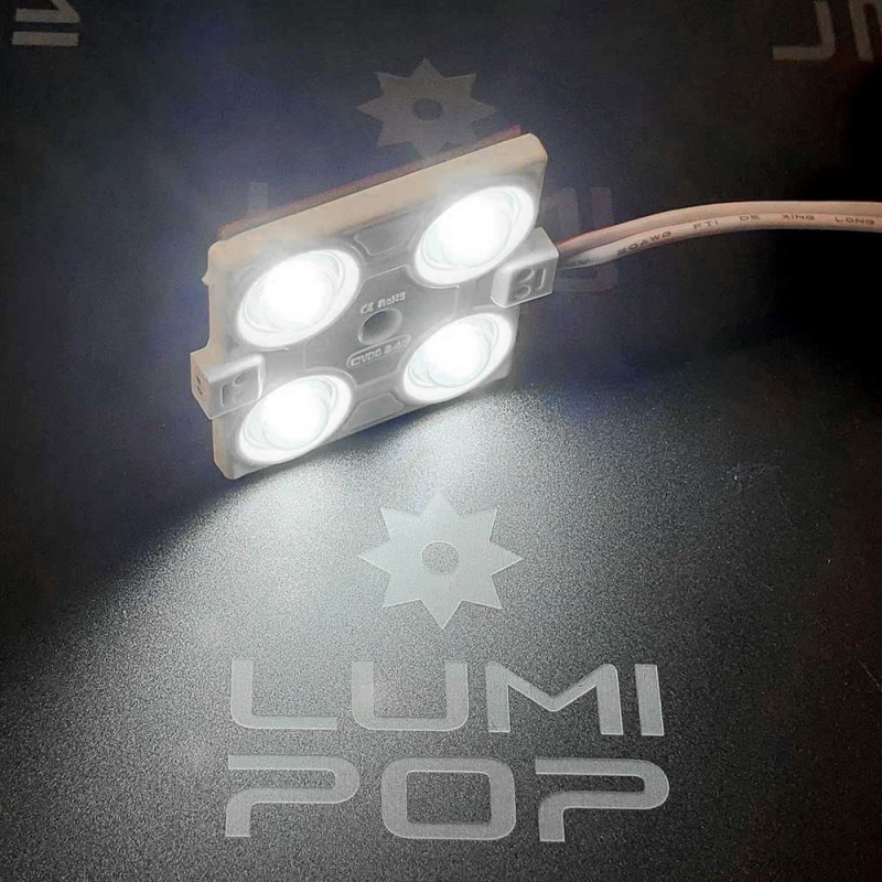 Module LED blanc froid 6500K étanche 12V 2,4W à l'unité